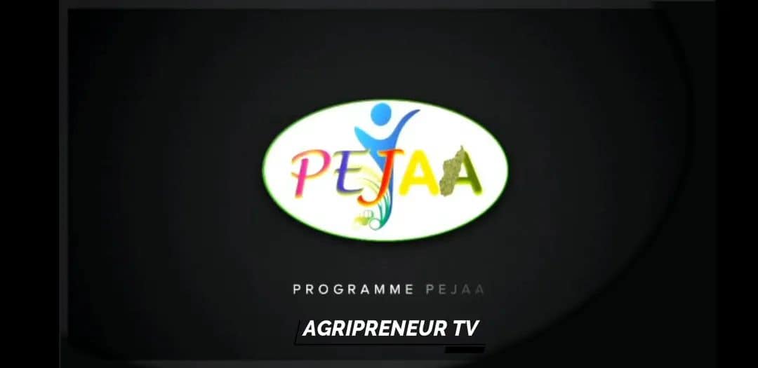 PEJAA
